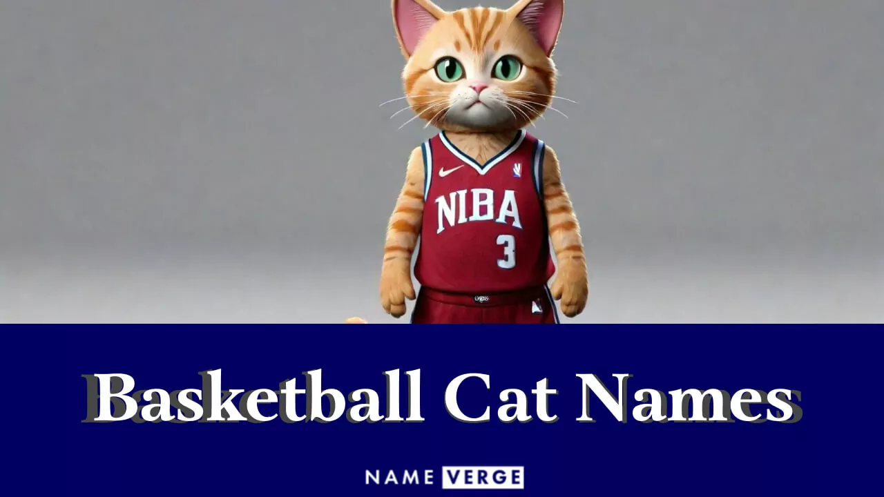 Basketball-Katzennamen: 363+ Coole Namen Für Ihre MVP-Katze Pet YOLO