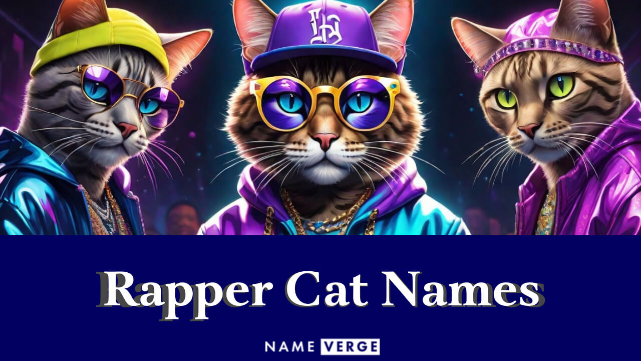Rapper-Katzennamen: Über 333 Coole Hip-Hop-inspirierte Namensideen Pet YOLO