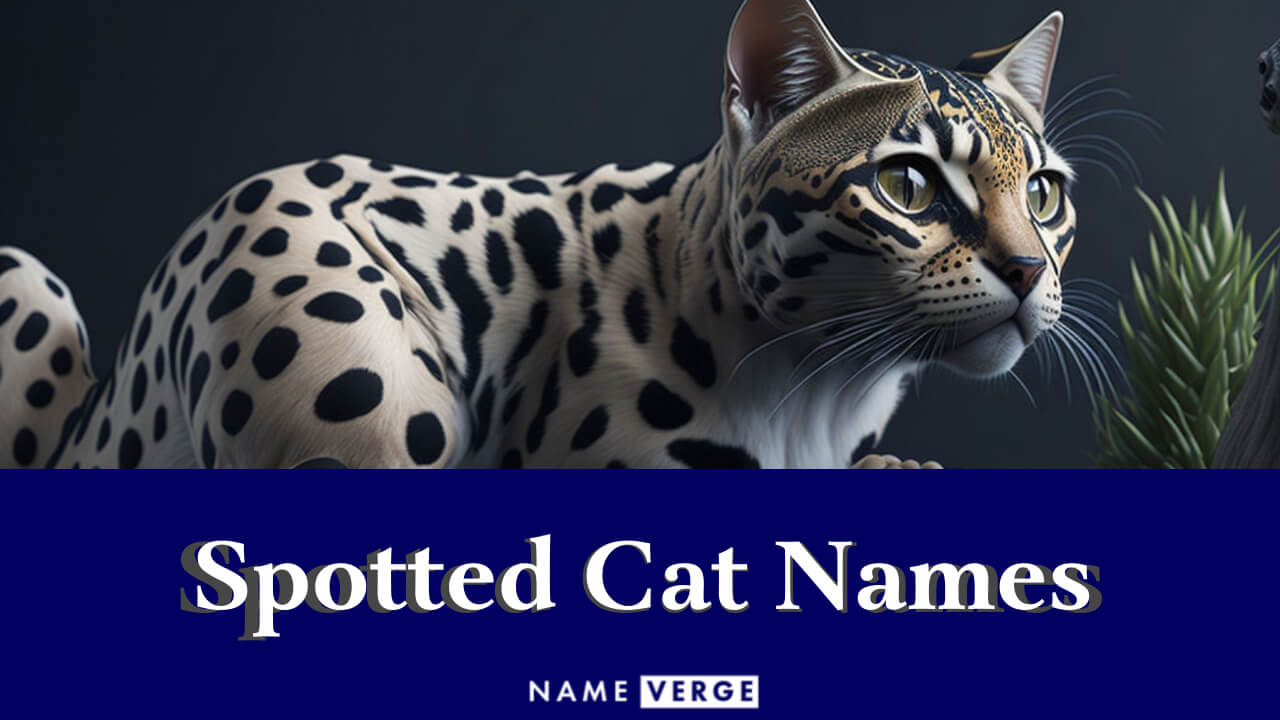 Namen Gefleckter Katzen: Die 220 Besten Namen Für Ihre Gefleckte Katze ...