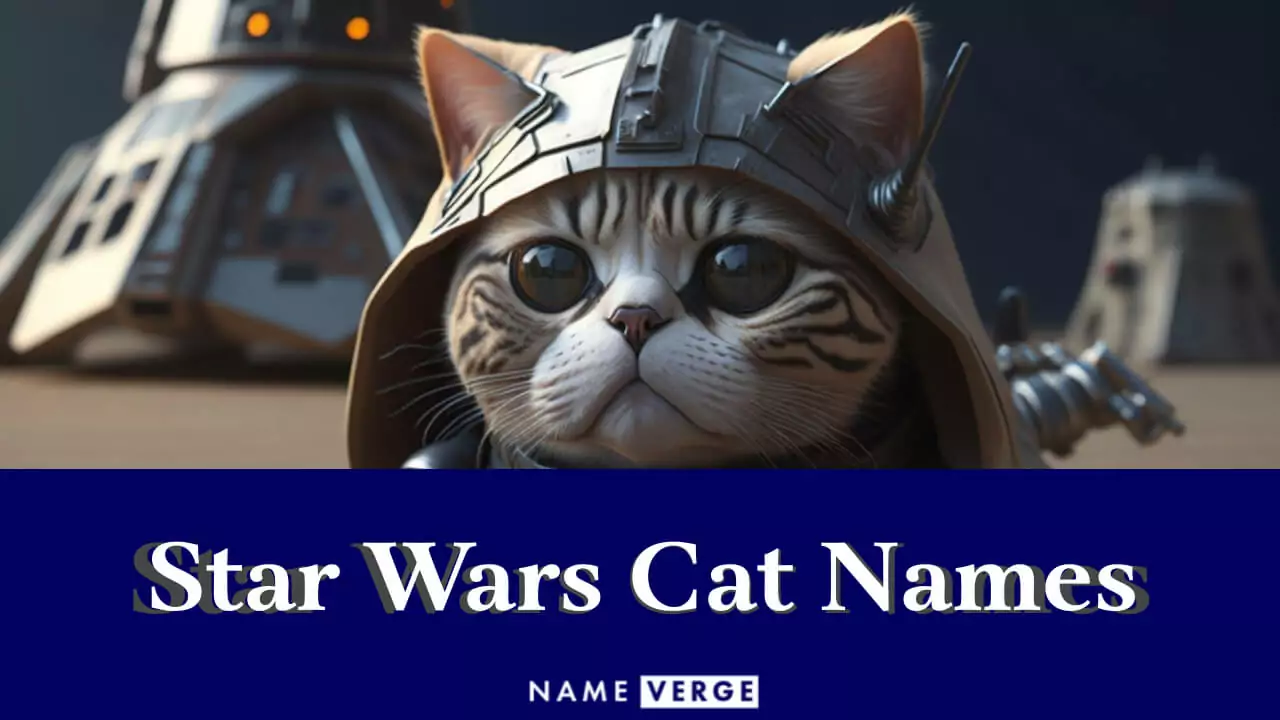 Star Wars-Katzennamen: 231+ Lustige Star Wars-Katzennamen Pet YOLO