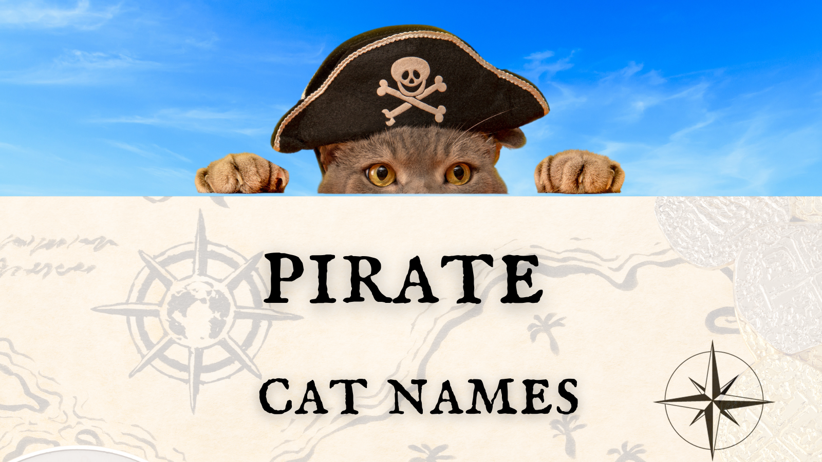 Über 200 Piraten-Katzennamen – Eine Schatzkammer! Pet YOLO