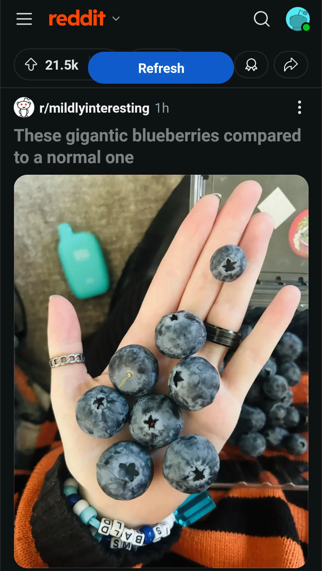 22 Massive Beasts That Will Leave You Stunned! 🐘💥 Pet YOLO